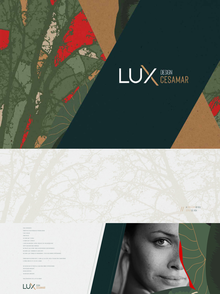 Book Lux Cesamar_menor | PDF