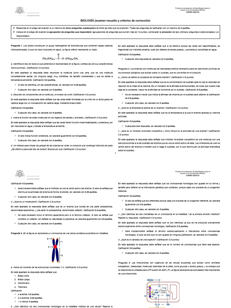 Examen Resuelto y Criterios de Corrección - BIOLOGÍA | PDF | Sistema ...