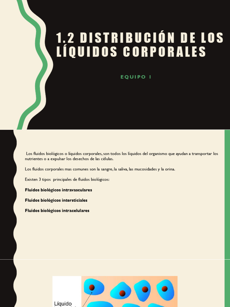 Distribucion de Los Liquidos Corporales | PDF | Biología Celular | Anatomía