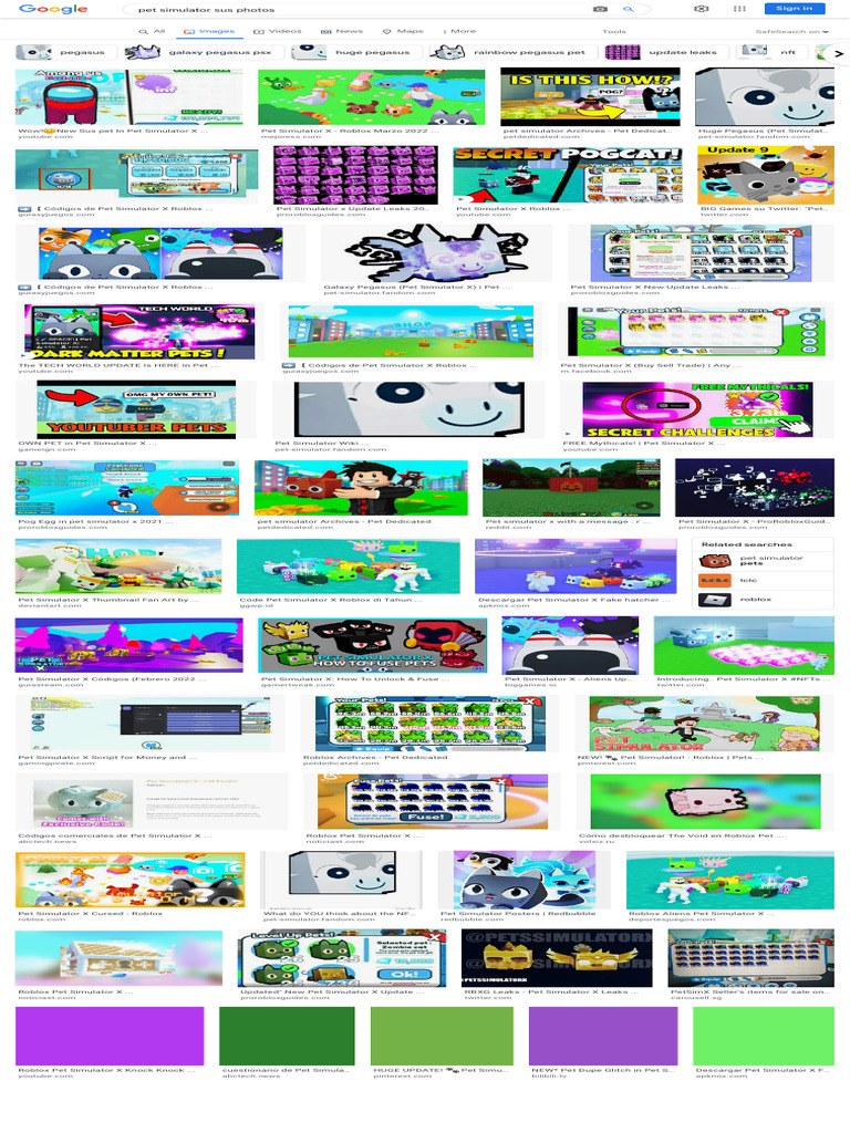 Pet Simulator X Update & Leaks | PDF