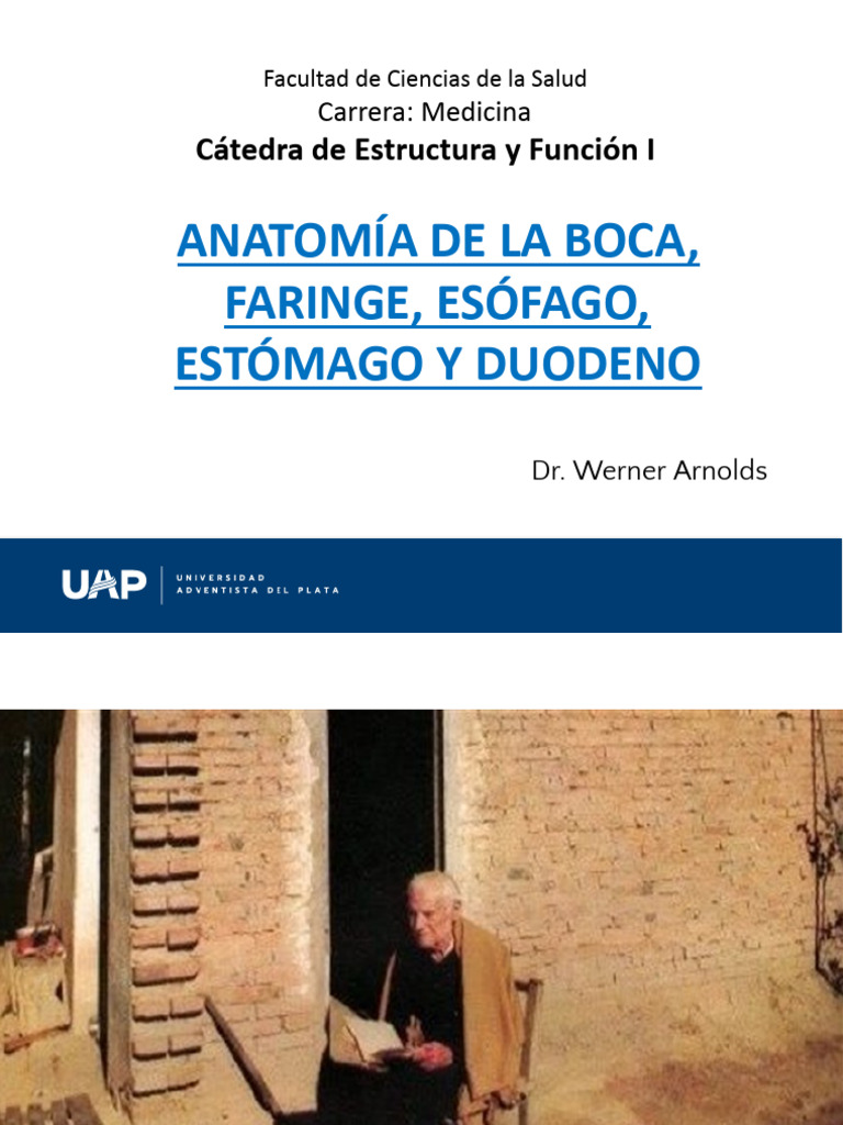 Httpscampusvirtual - Uap.edu - Arpluginfile.php1044338mod ...