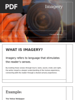 Different Types of Imagery | PDF | Somatosensory System | Senses