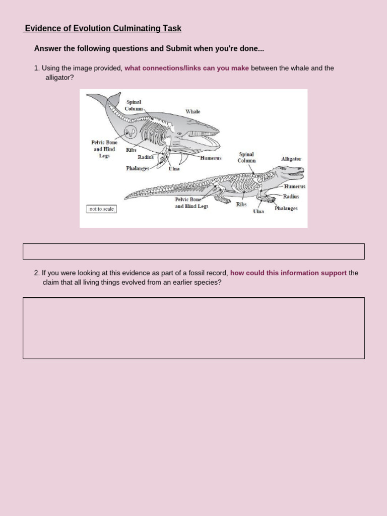Evidence of Evolution Culminating Task | PDF