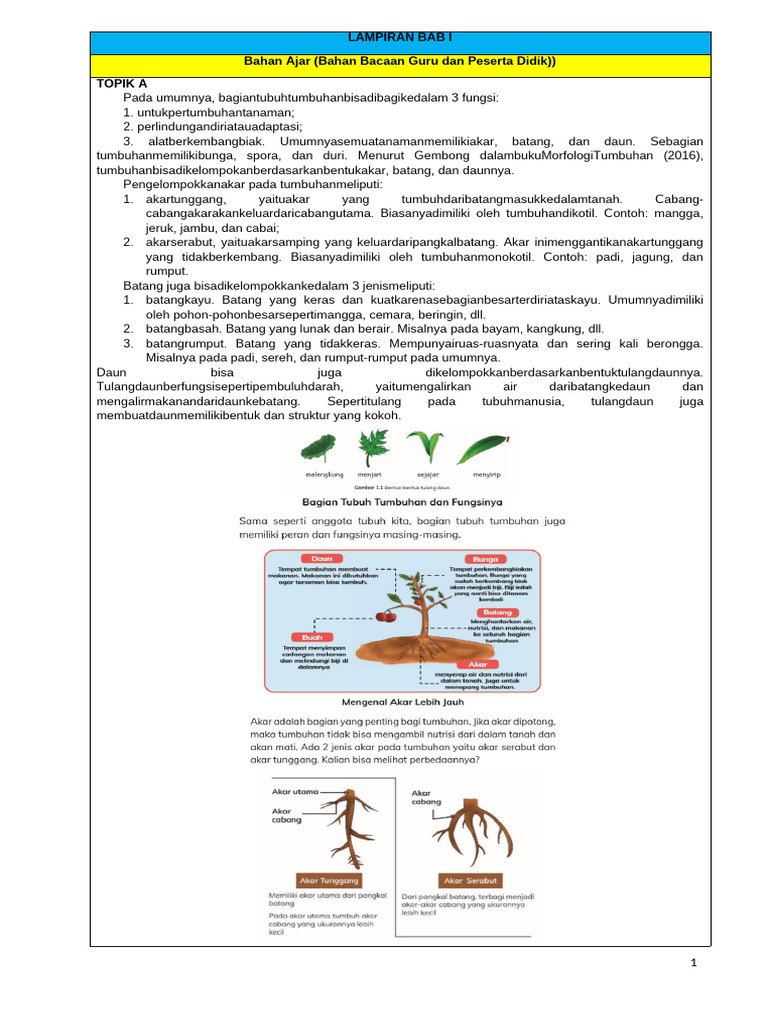 Lampiran Ipas Kls IV Sms 1 | PDF