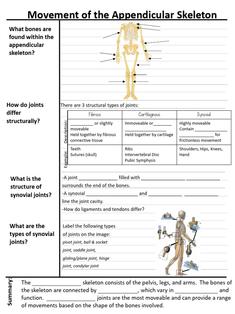 Notes 5 - Movement of The Appendicular Skeleton-Joint | PDF