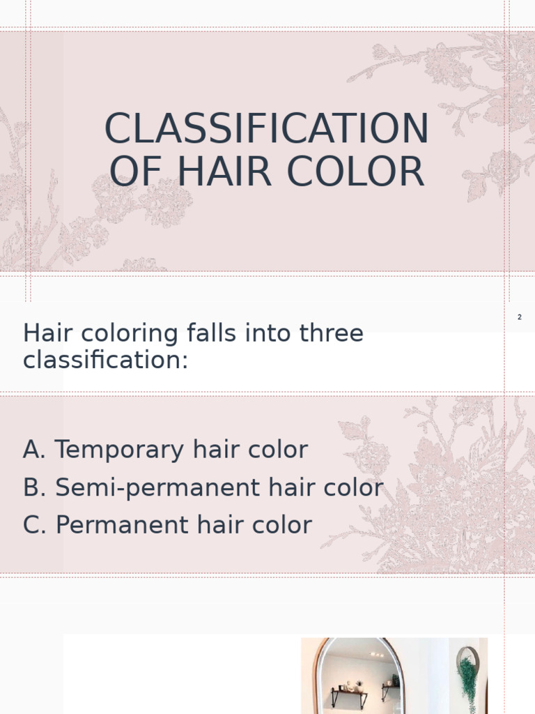 Hair Color Classification Guide | PDF | Hair | Human Hair