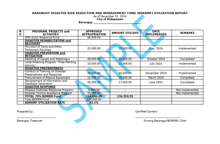 BDRRMF Utilization Report | PDF | Emergency Management | Safety