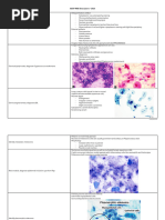 Intranuclear Pseudoinclusions in Cytology | PDF | Cytopathology | Cell ...