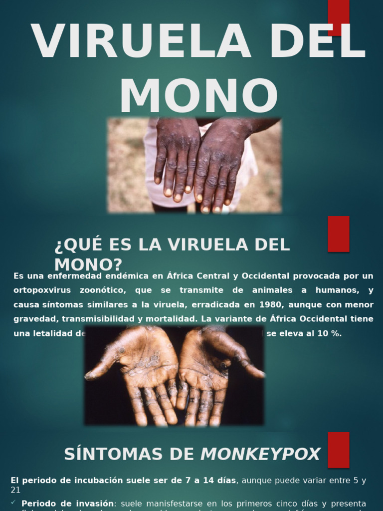 Guía sobre la Viruela del Mono: Síntomas y Contagio | PDF | Viruela ...
