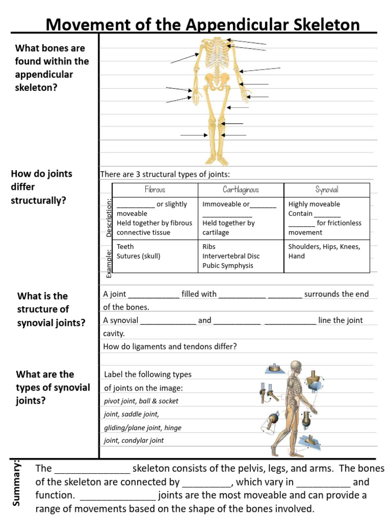 Appendicular Skeleton Joints Guide | PDF | Hand | Shoulder