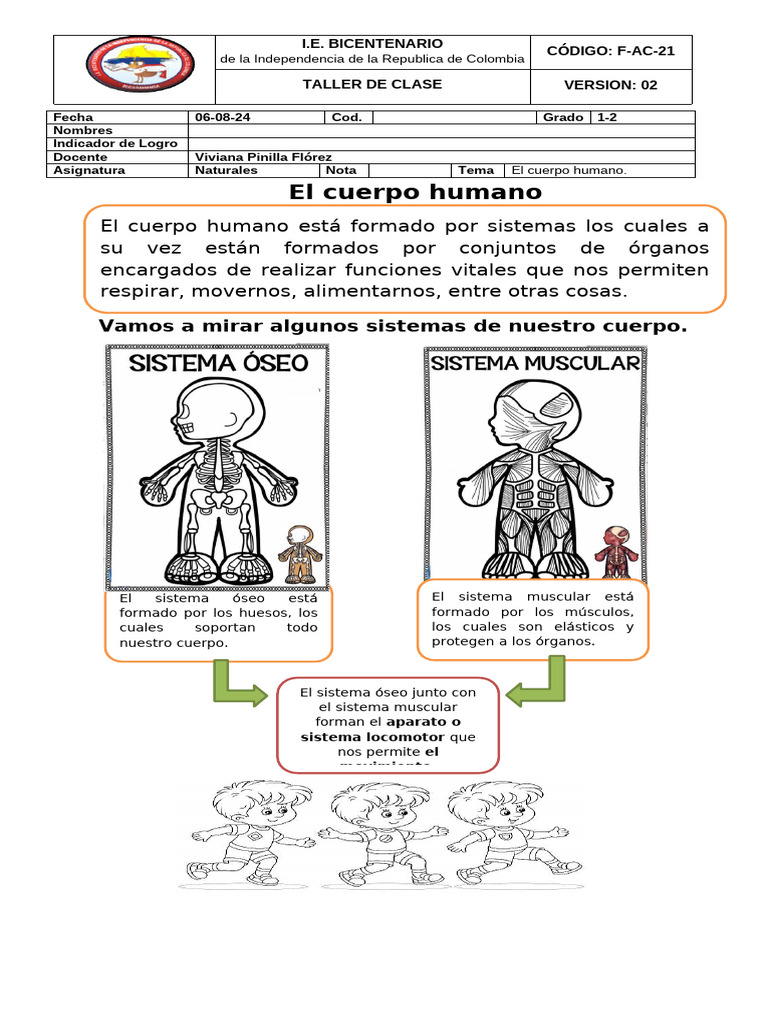 Sistemas del Cuerpo Humano | PDF