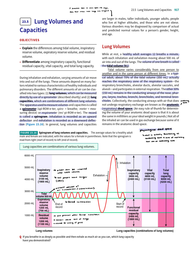 Gerard J Tortora Bryan H Derrickson - Principles of Anatomy and ...