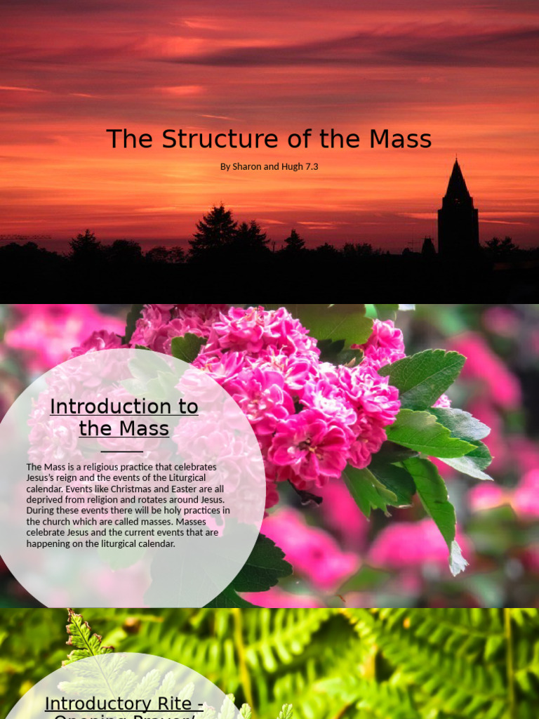 The Structure of The Mass | PDF | Mass (Liturgy) | Eucharist