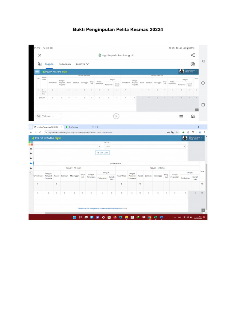Bukti Penginputan Data Online Pelitakesmas 2024 | PDF
