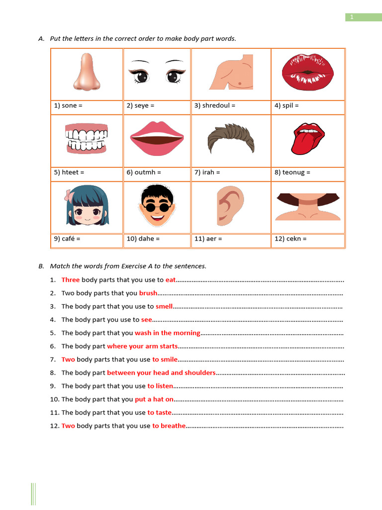 Body Parts Vocabulary Worksheet | PDF