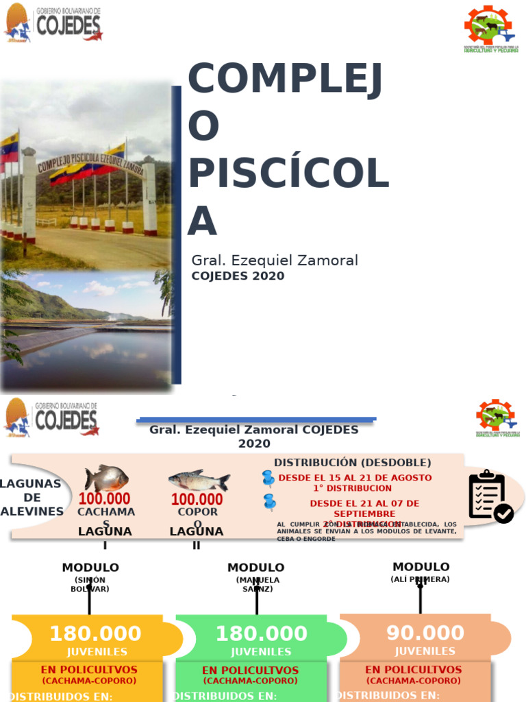 Plan de Producción Piscícola 2020 | PDF