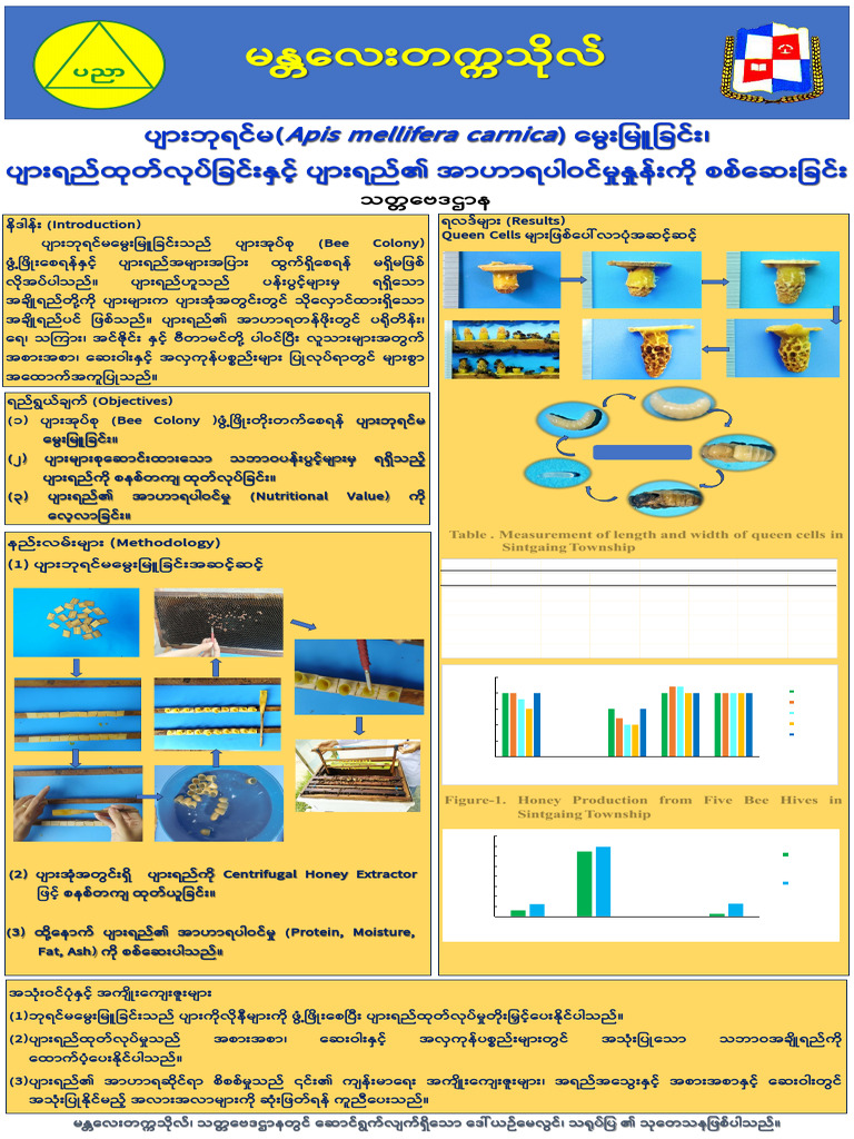 Bee Poster | PDF