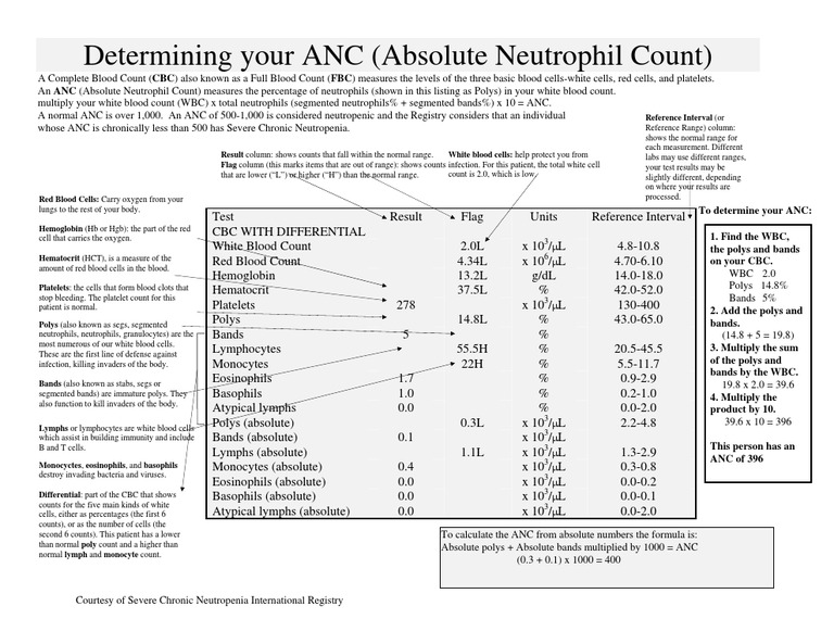 Determining Your ANC (Absolute Neutrophil Count) | PDF