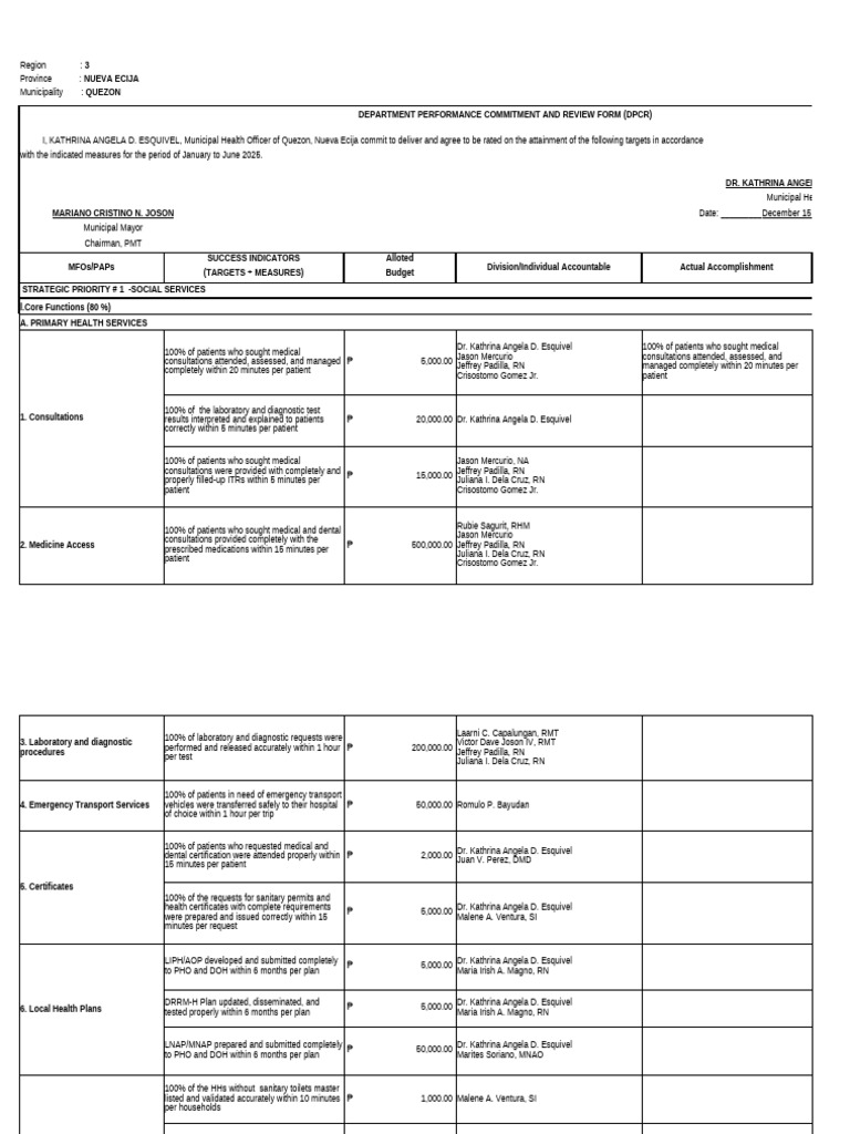 DPCR Template For 2025 | PDF | Childbirth | Social Programs