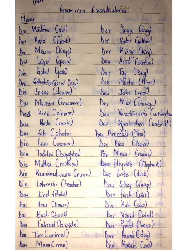 Definite articles and nouns | PDF