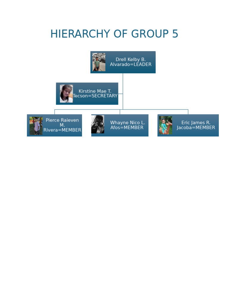 Hierarchy of Group 5 | PDF