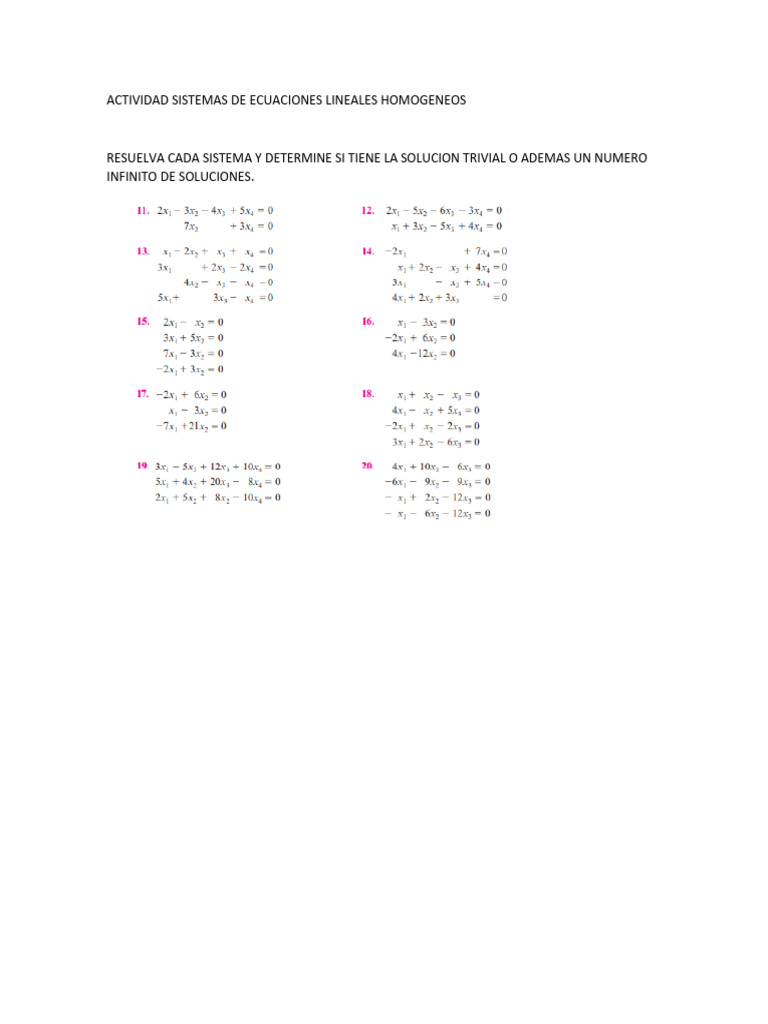 Actividad Sistemas de Ecuaciones Lineales Homogeneos | PDF