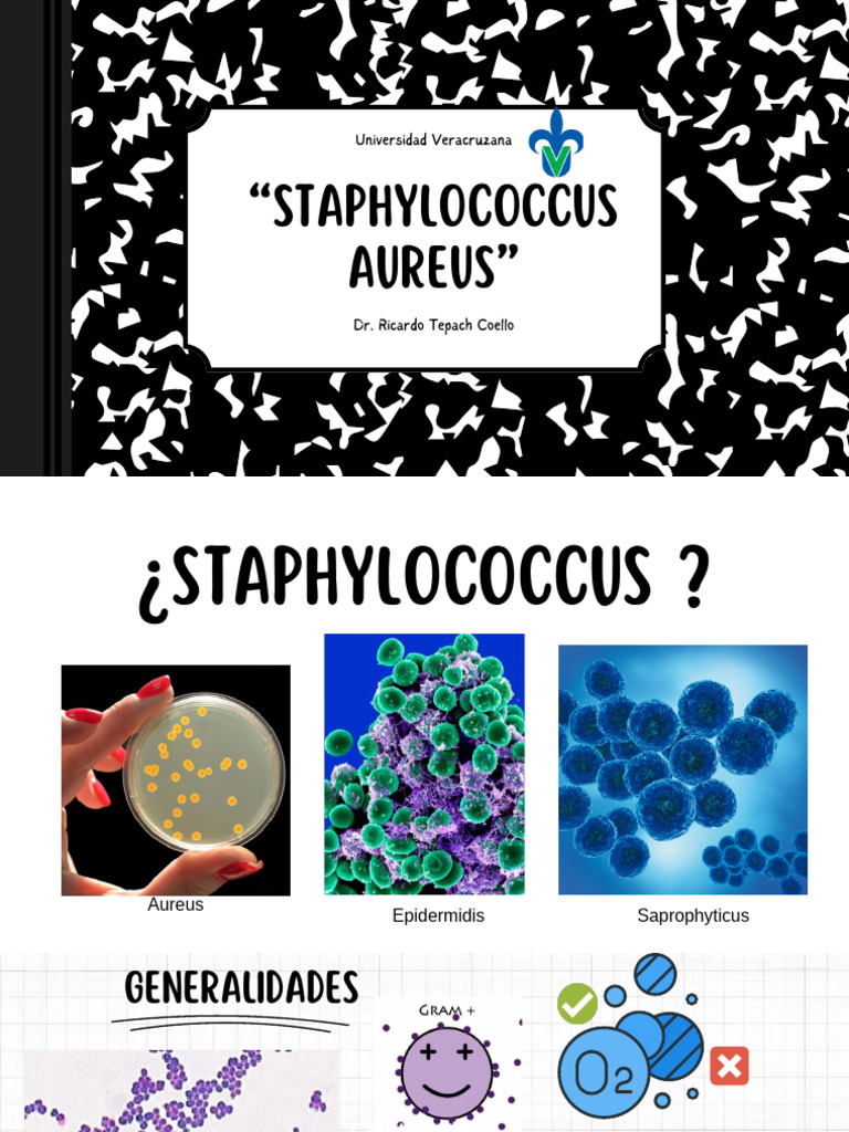 Streptococcus Aureus | PDF | Biología | Microbiología