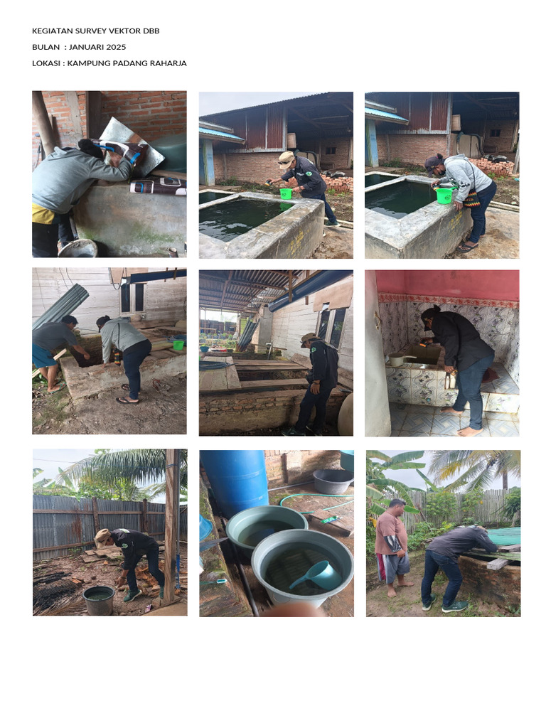 KEGIATAN SURVEY VEKTOR DBD PADANG RAHARJA | PDF