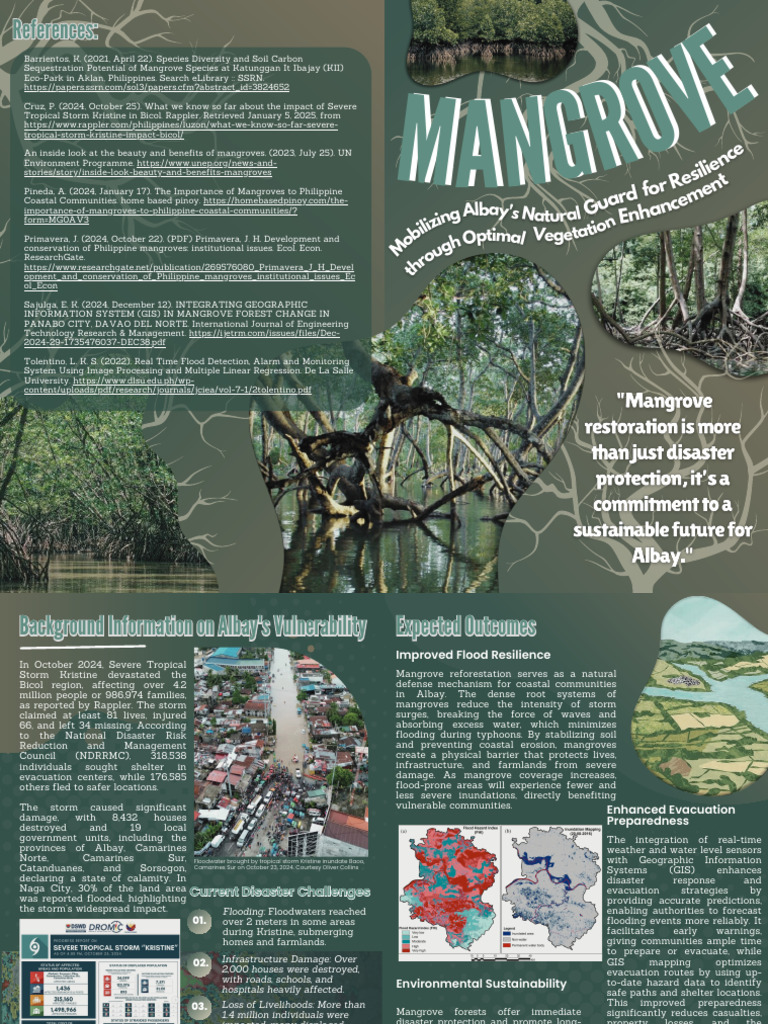 Mangrove Restoration for Disaster Resilience | PDF | Mangrove | Flood