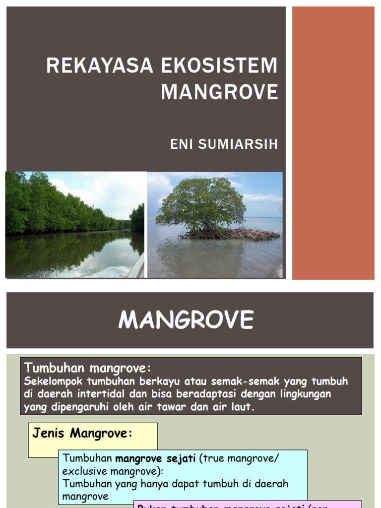 Rekayasa Ekosistem Mangrove | PDF
