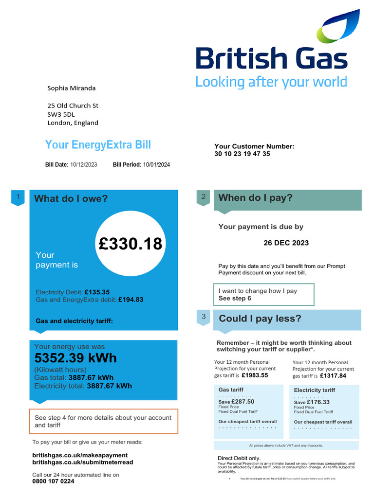 British Gas Bill | PDF | Electricity | Energy Economics
