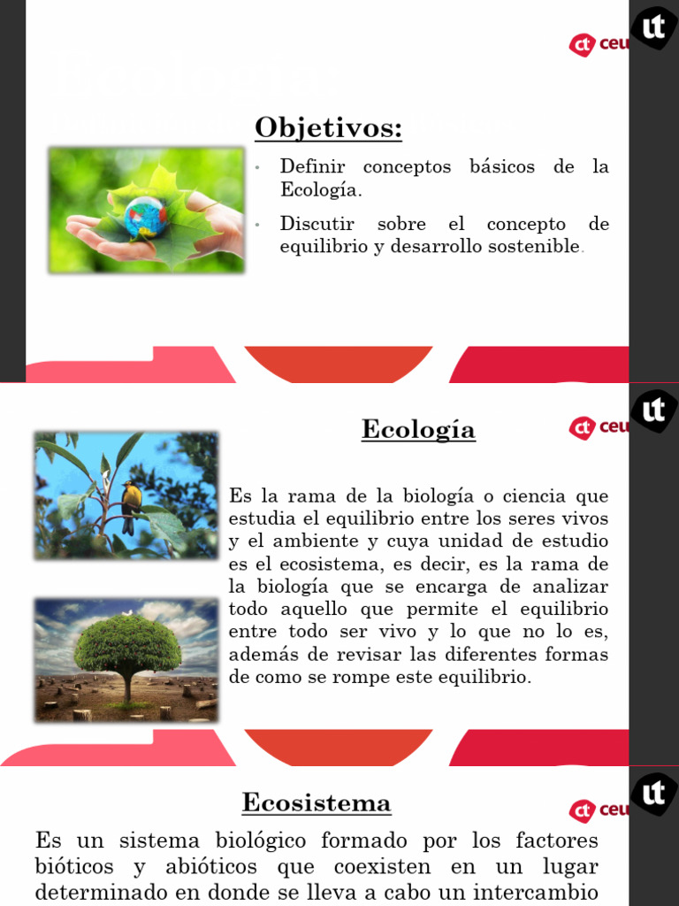 Ecologia - Definición de Conceptos Básicos | PDF | Ecología | Sustentabilidad