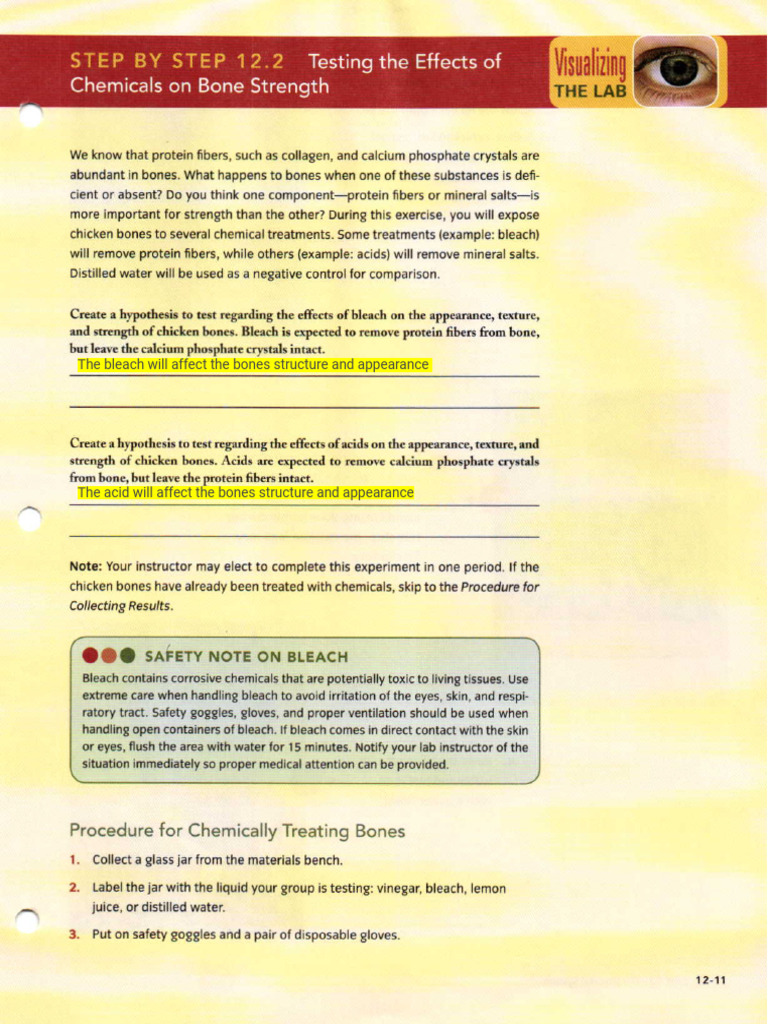 Effects of Chemicals on Chicken Bones | PDF | Bone | Bleach