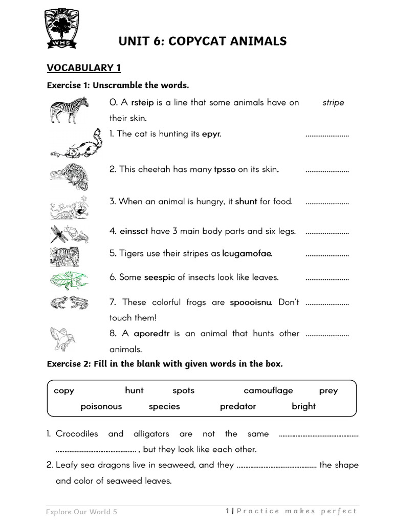 Copycat Animals and Music Exercises | PDF | Mars | Life On Mars