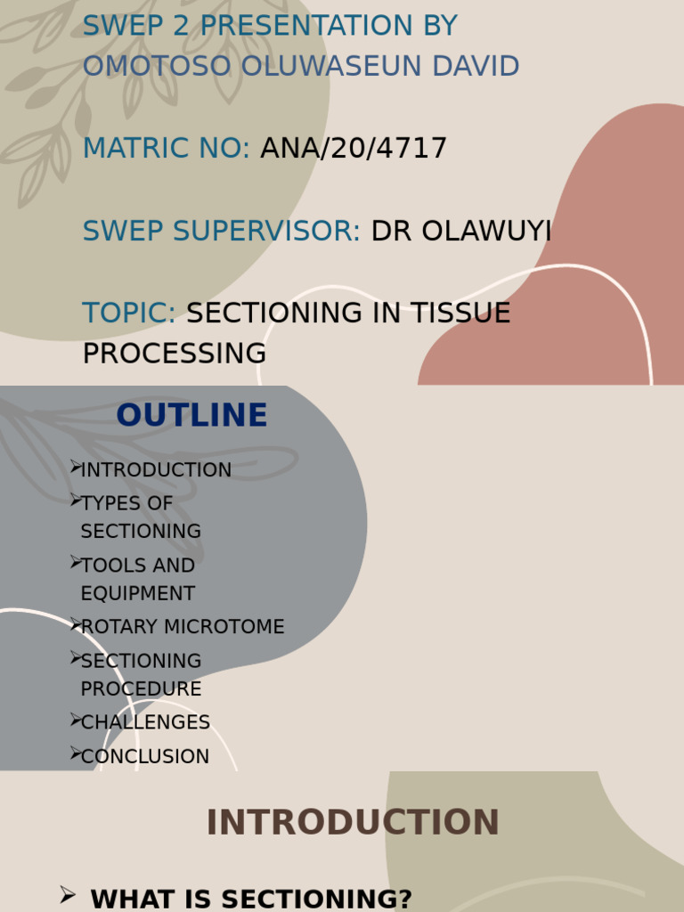 New Sectioning | PDF