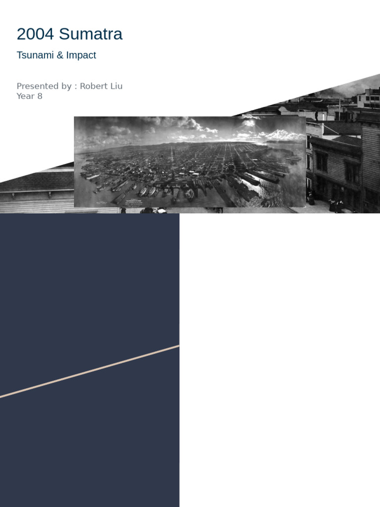 2004 Sumatra Indian Ocean Earthquake - Tsunami 3 | PDF