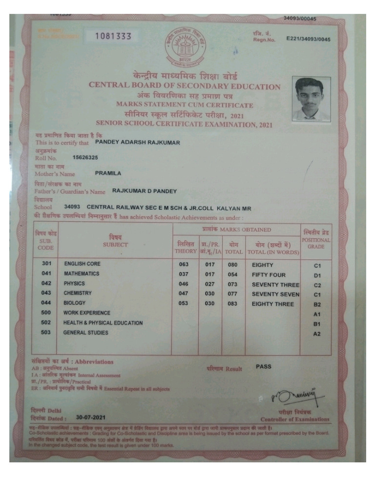 12th marksheet | PDF