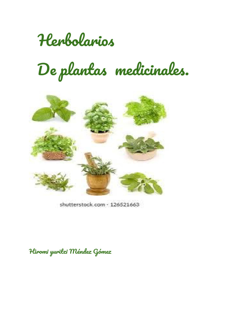 Plantas Medicinales y sus Beneficios | PDF | Plantas medicinales | Té