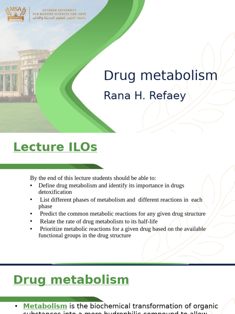 Understanding Drug Metabolism Phases | PDF | Drug Metabolism | Amine