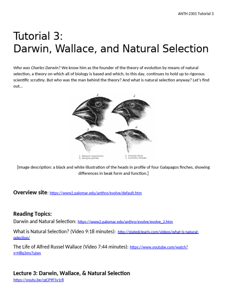 2301 Tutorial 3 Darwin and Nat Select | PDF