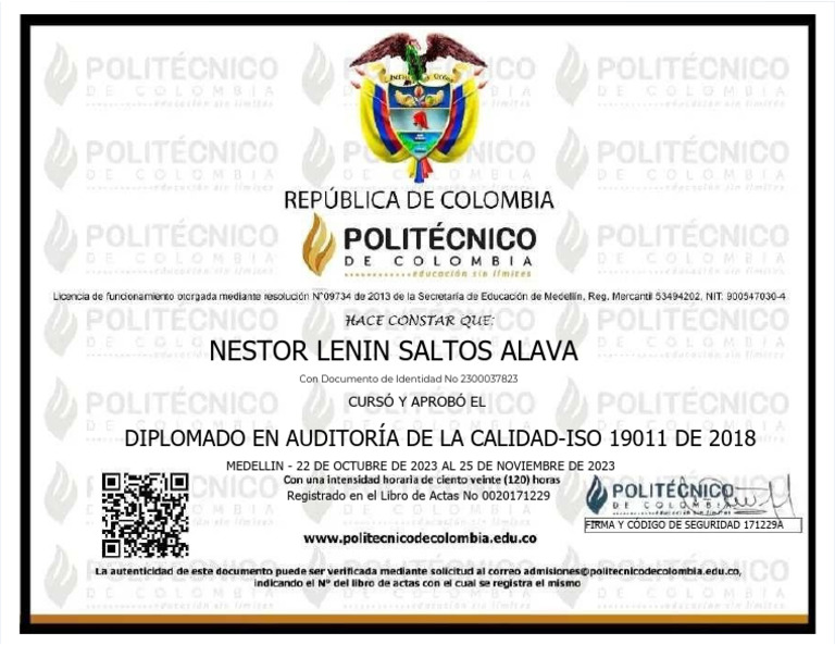 Diplomado Iso 19011-2018. Saltos Nestor PDF | PDF