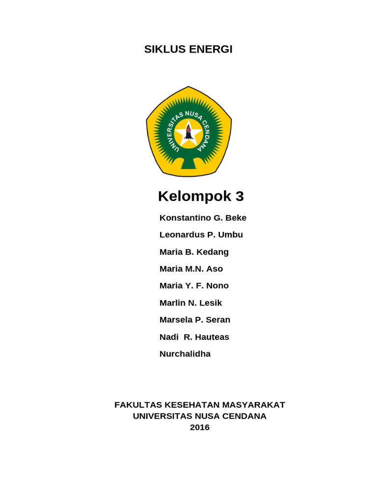 Siklus Energi | PDF