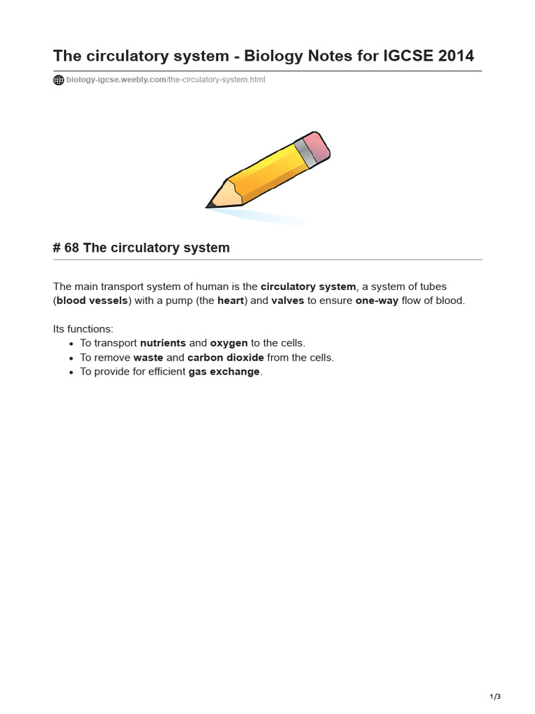 The Circulatory System - Biology Notes For IGCSE 2014 | PDF