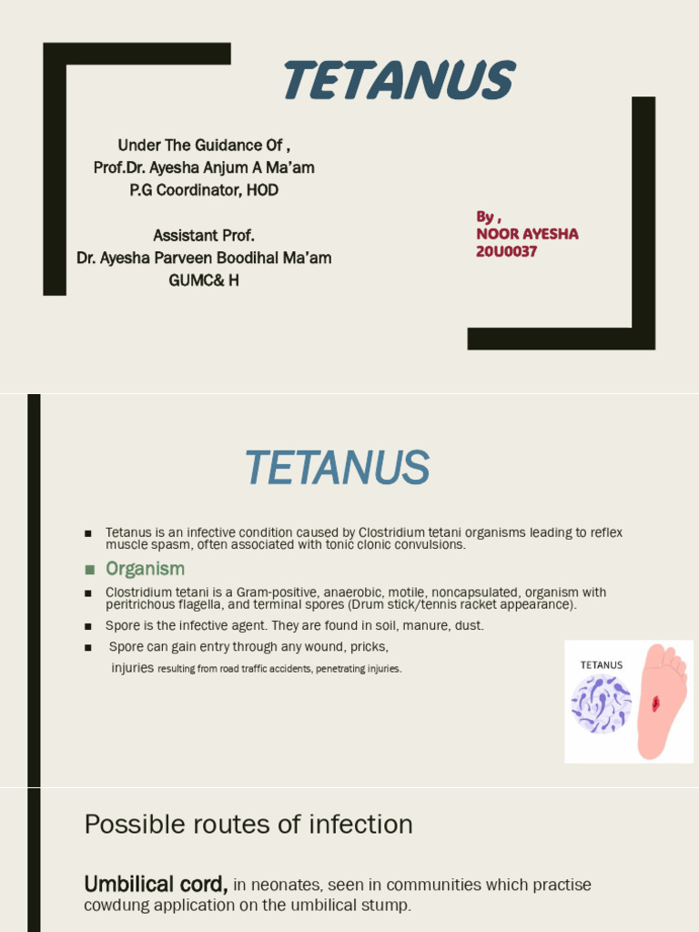 Tetanus | PDF | Clinical Medicine | Human Diseases And Disorders