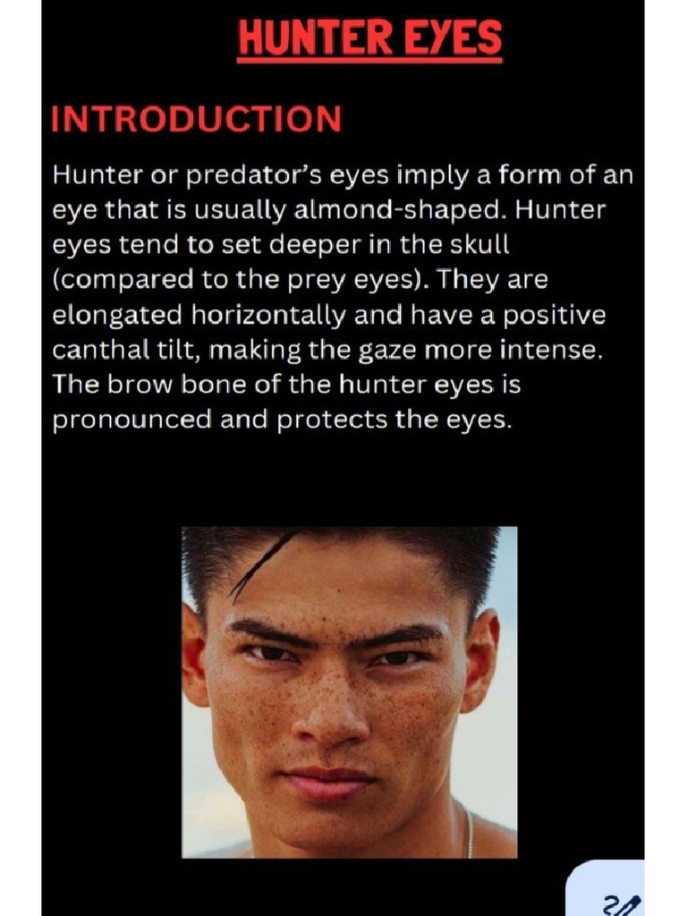 Eyes | PDF