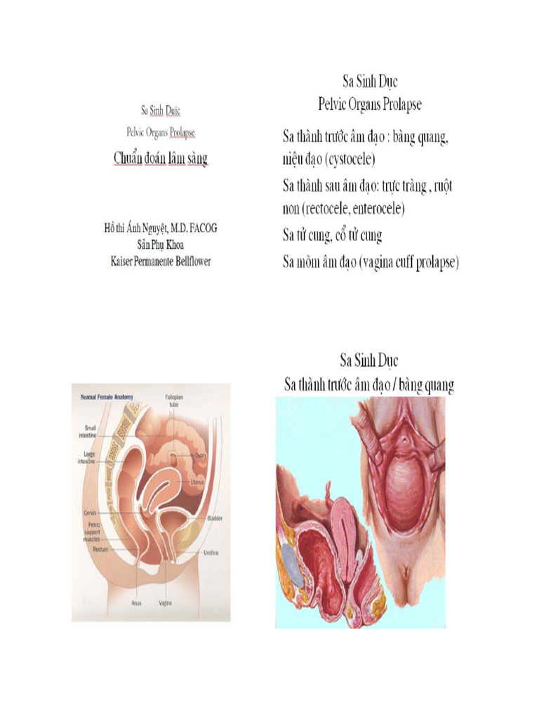 0920049_Sa Sinh Duc | PDF