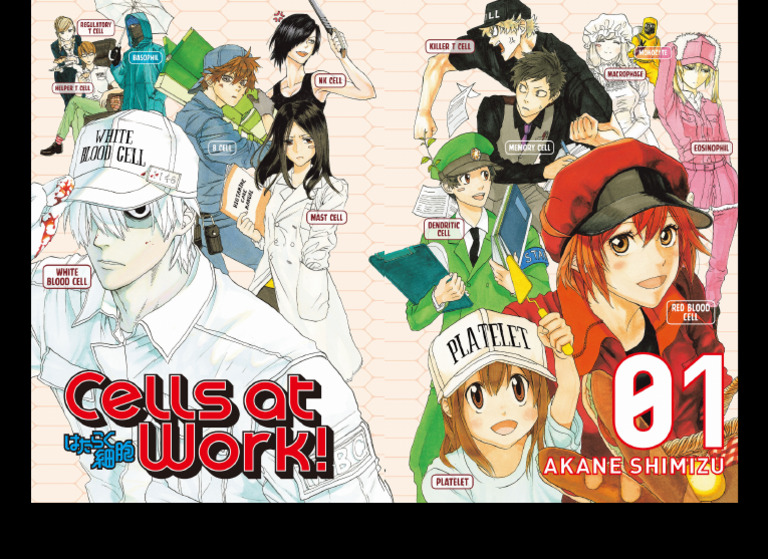 Cells at Work Volume 1 | PDF