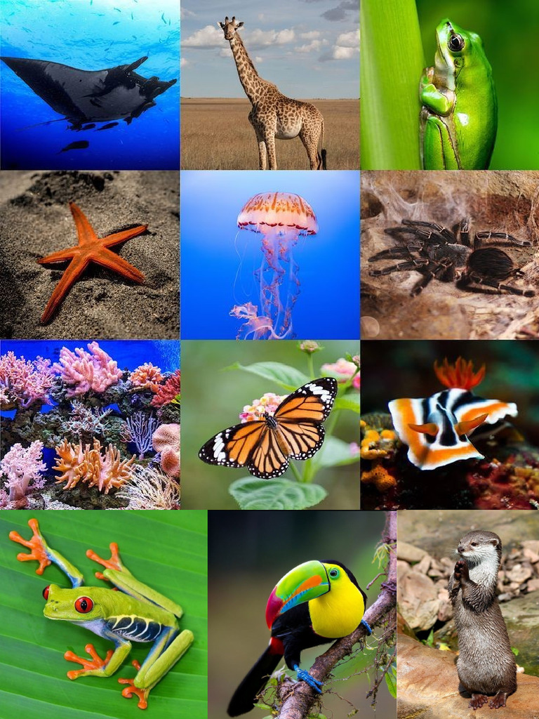 Blue Simple Aesthetic Floral Notebook Cover Page A4 - 20250210 - 210819 ...