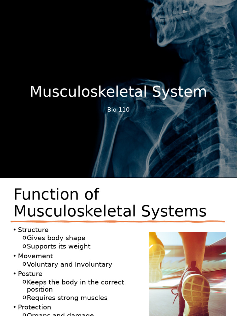 Overview of the Musculoskeletal System | PDF | Bone | Skeleton