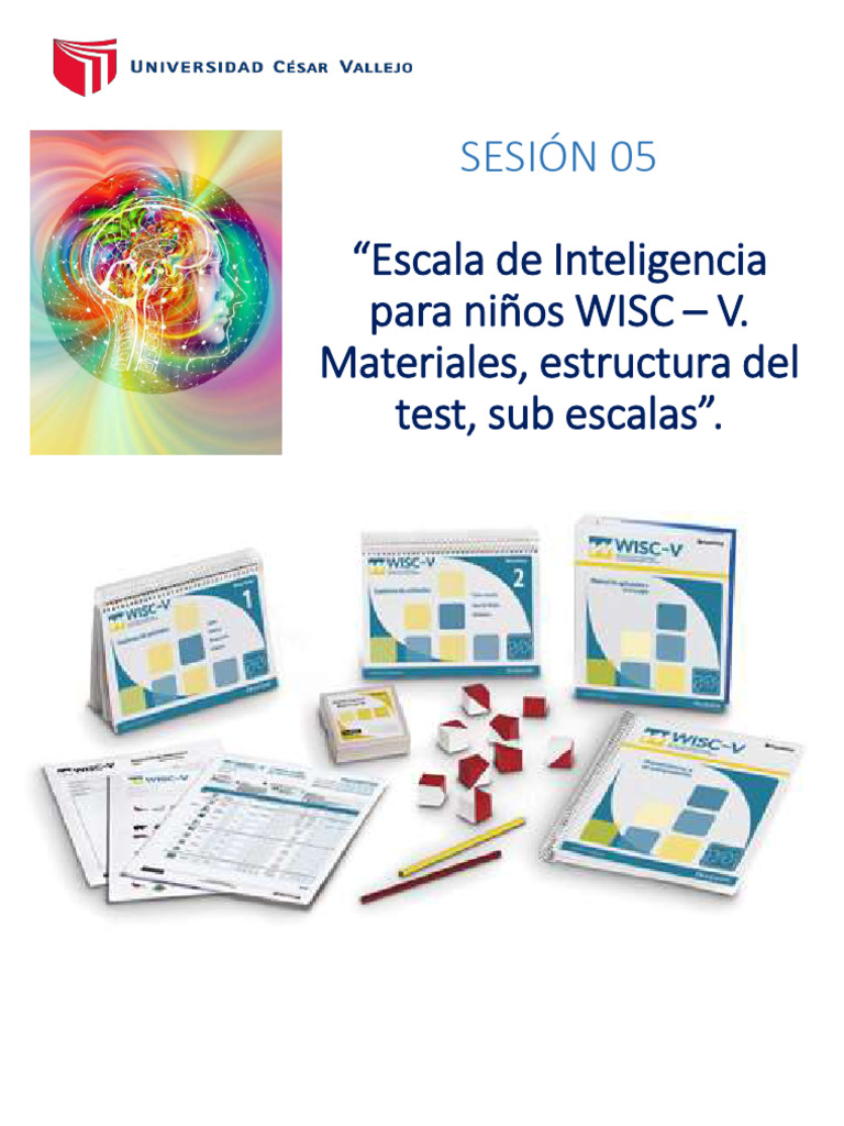 Conceptos Visuales en WISC-V | PDF | Cognición | Ciencia cognitiva